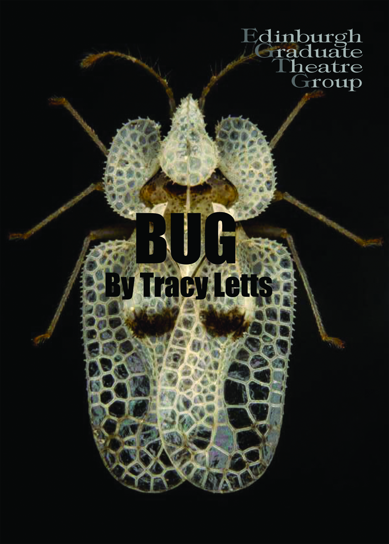 Virtual Program – EGTG